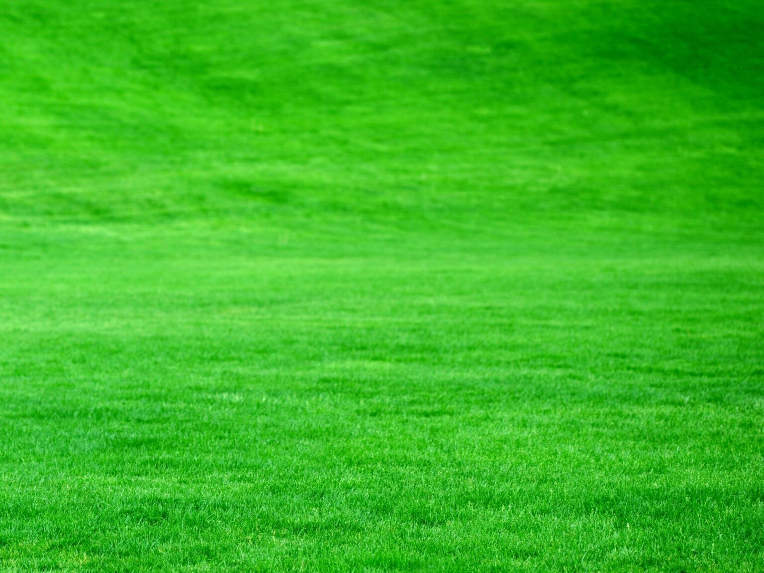 Are You Ready For The Growing Season? Deep Green Lawn Care Has You ...
